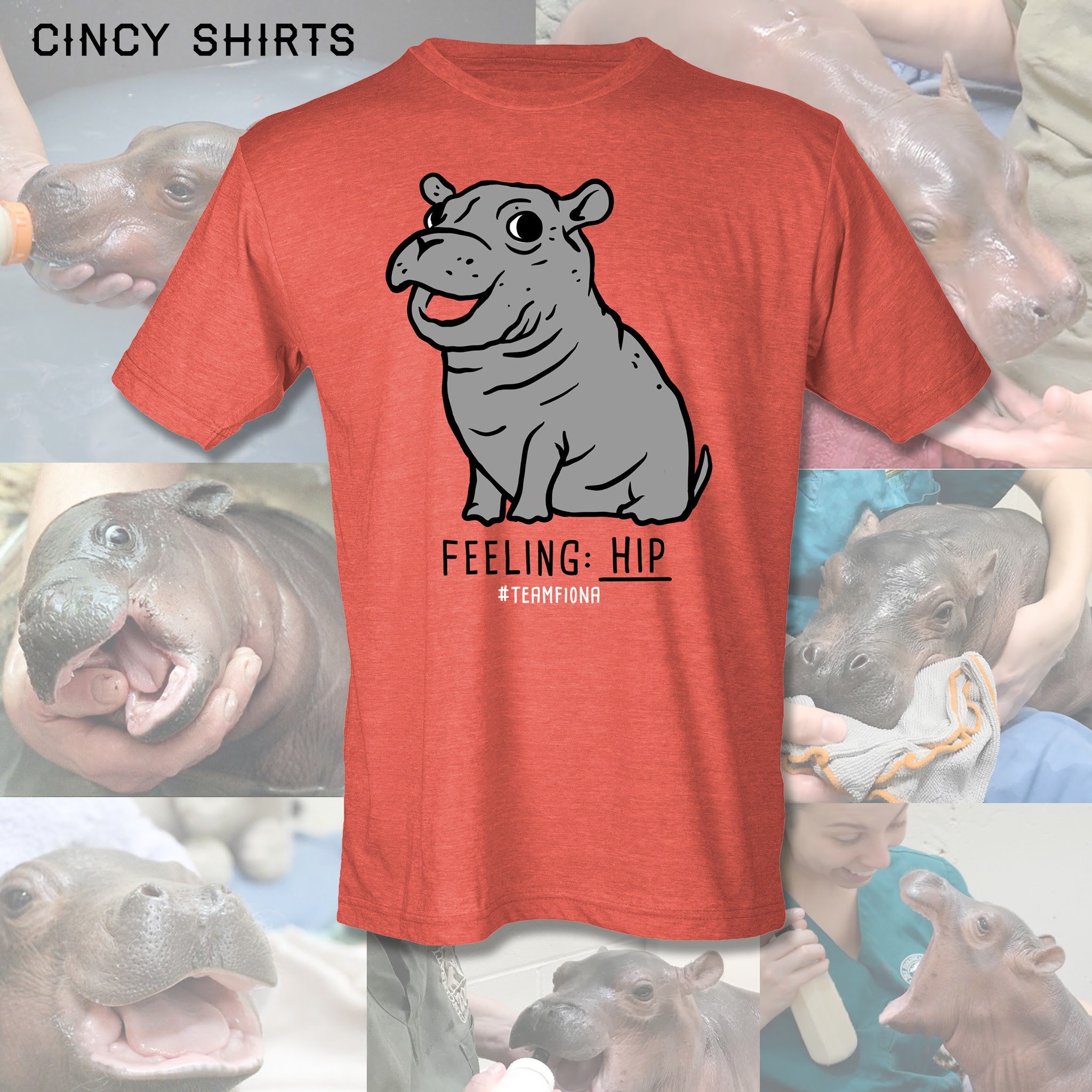 Fiona the Hippo Merchandise Gets the Cincinnati Zoo $480M | Money